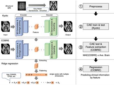 Frontiers | Three-Dimensional Convolutional Autoencoder Extracts Features of Structural Brain ...